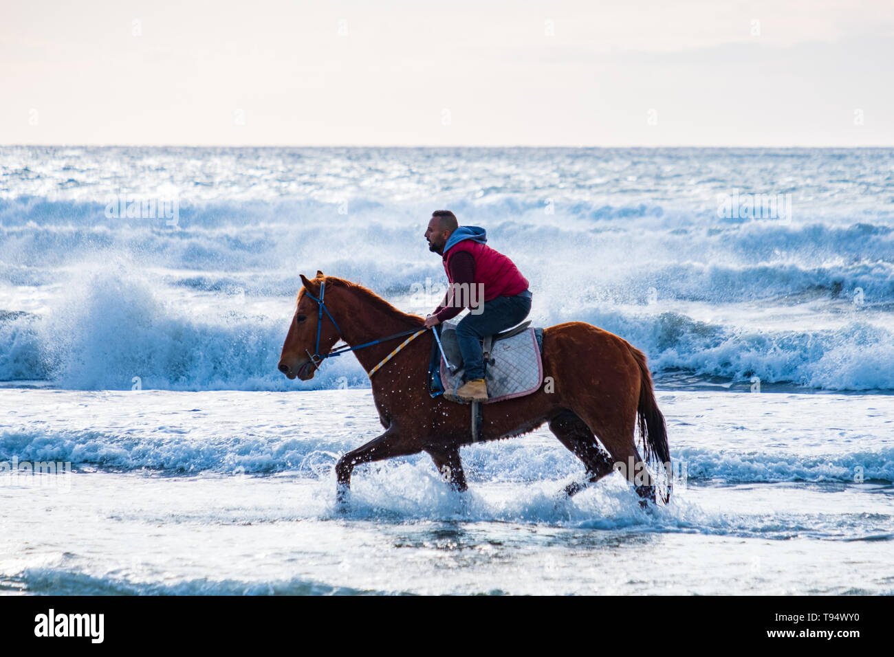 Ayia Eirini, Cyprus - 24 March, 2019: Man riding on a brown galloping ...