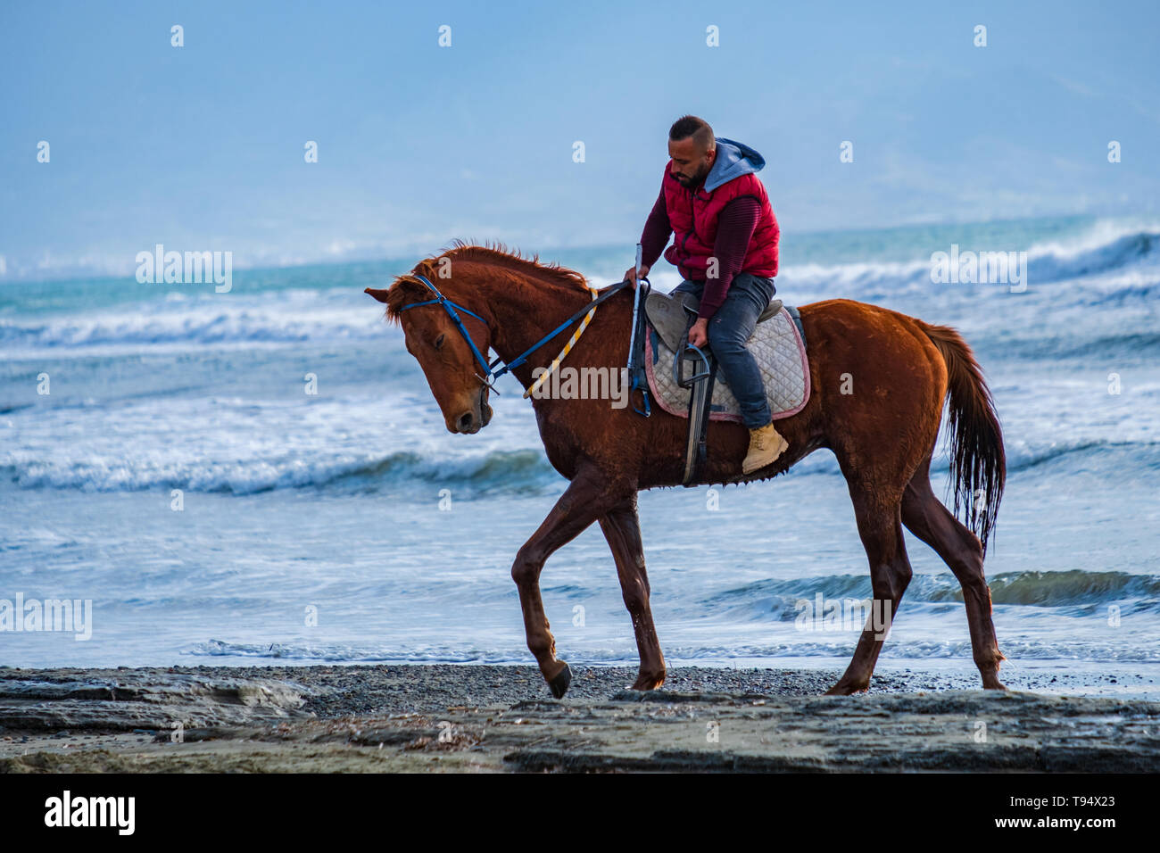 Silhouette horse rider galloping on hi-res stock photography and images ...