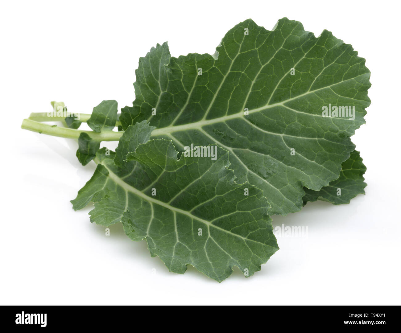 Fresh black cabbage isolated on white background Stock Photo - Alamy