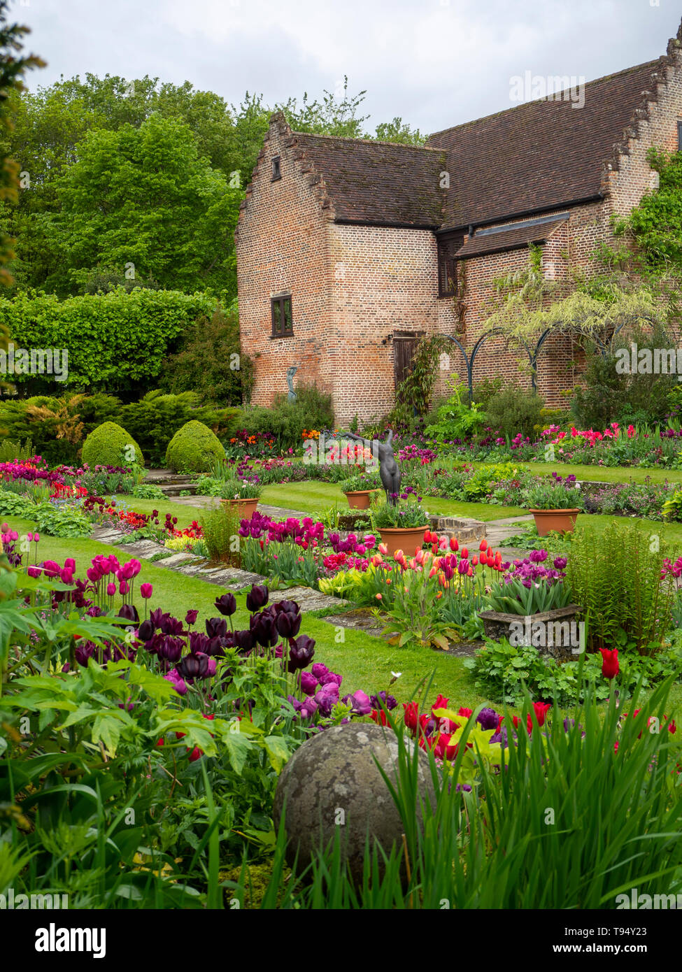 Chenies Manor Sunken garden in Spring with vibrant tulips; portrait ...