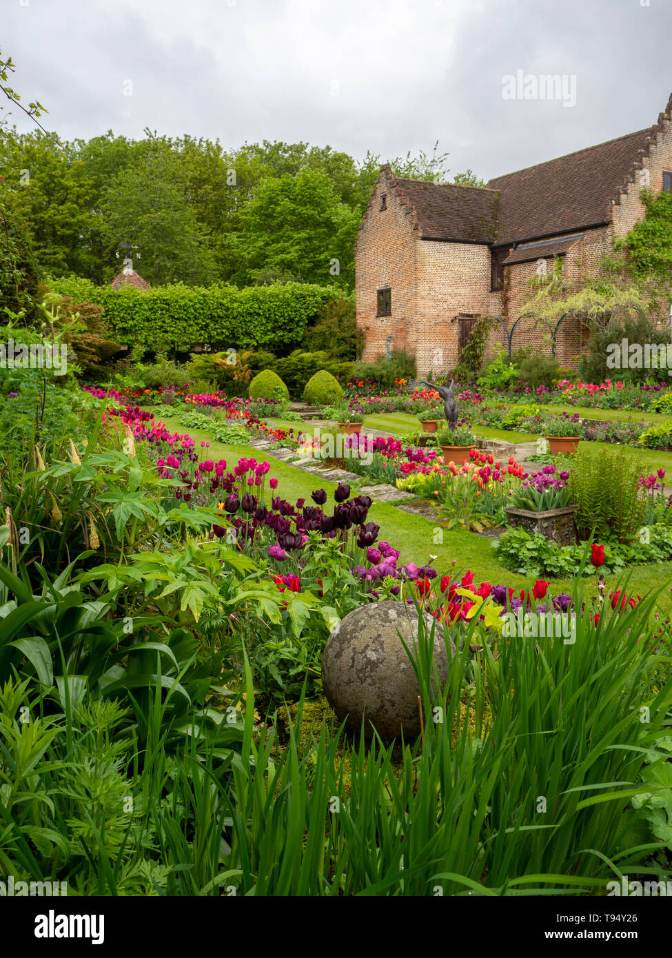 Chenies Manor Sunken garden in Spring with vibrant tulips; portrait ...