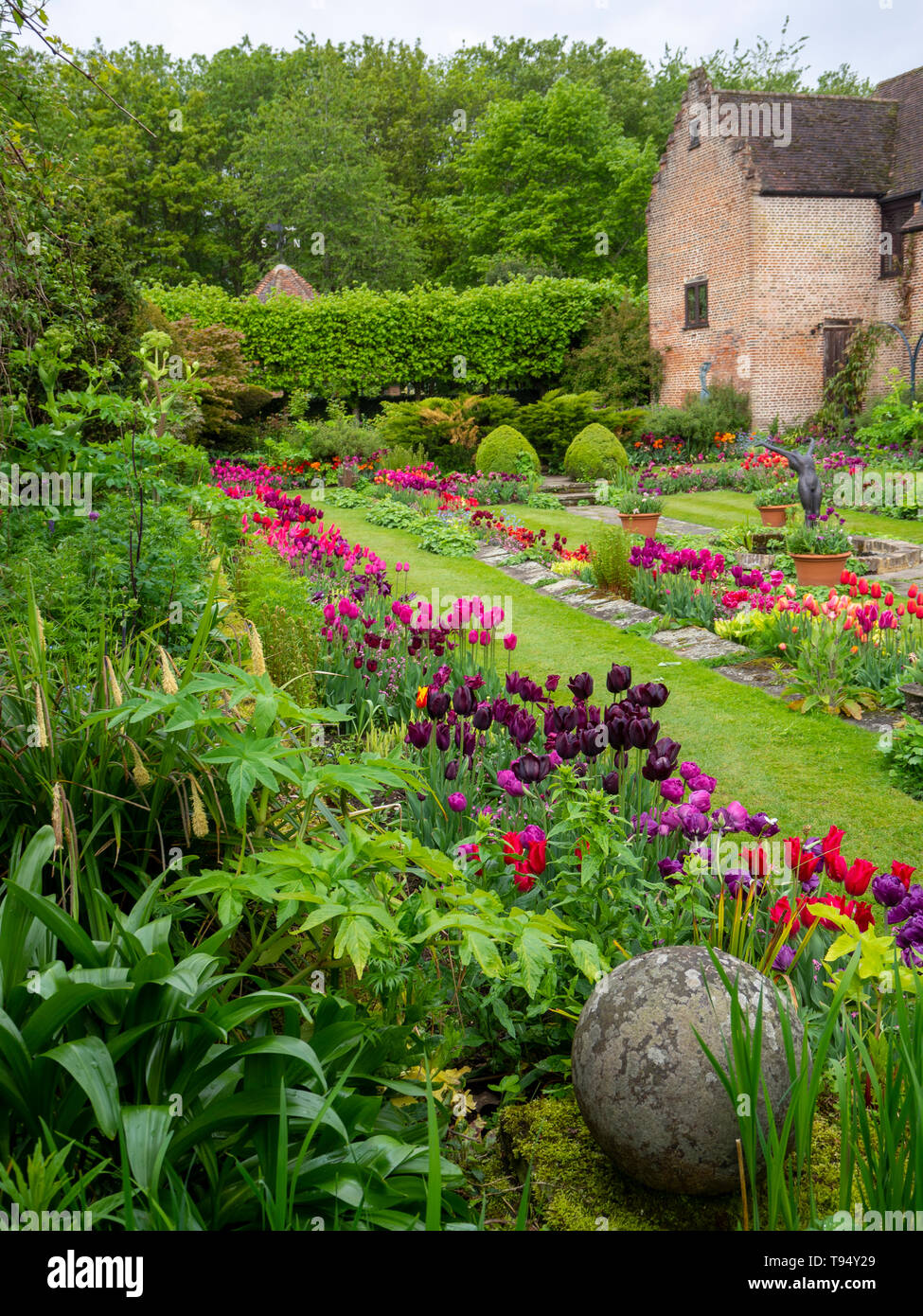Chenies Manor Sunken garden in Spring with vibrant tulips; portrait ...