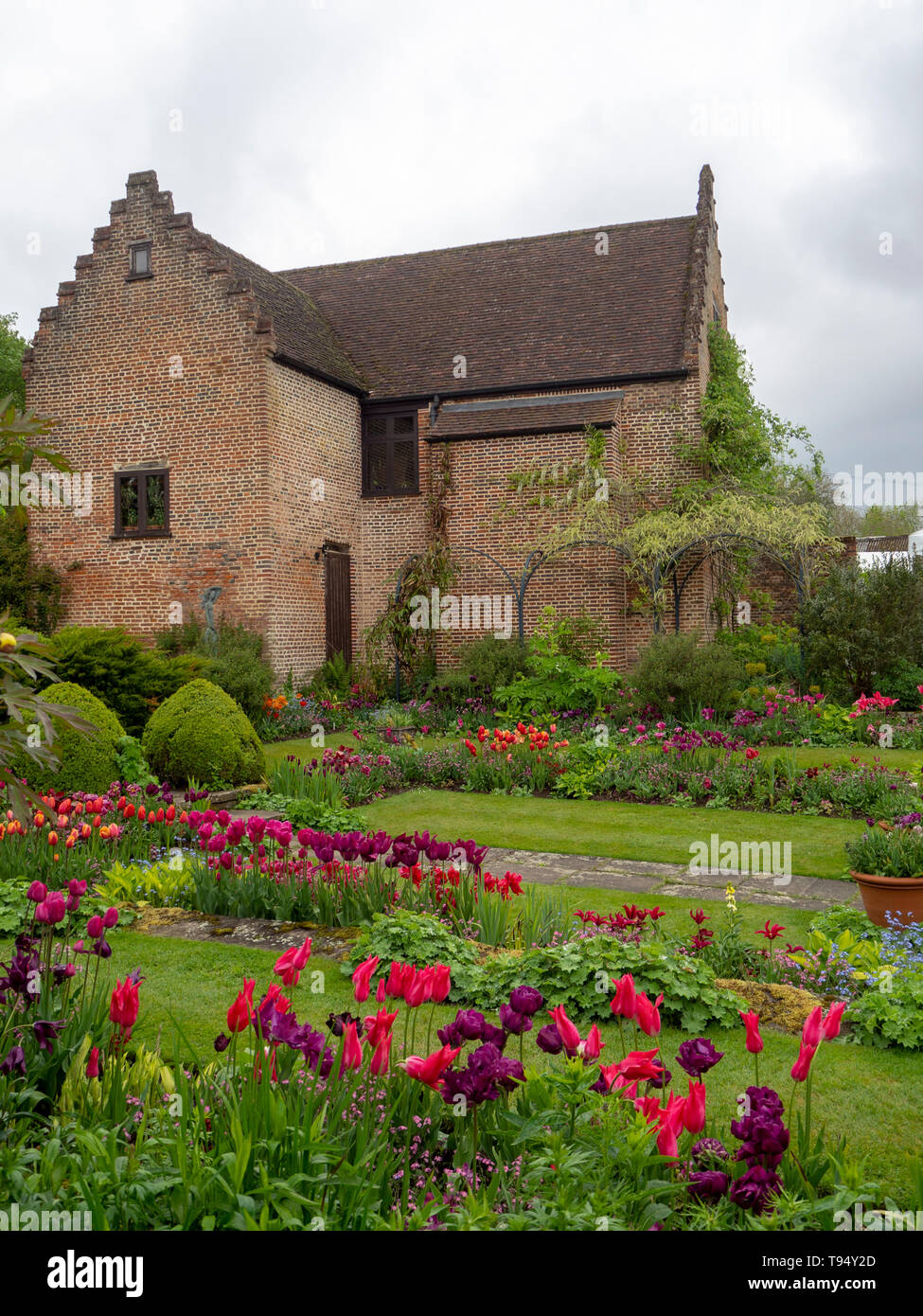 Chenies Manor Sunken garden in Spring with vibrant tulips; portrait ...