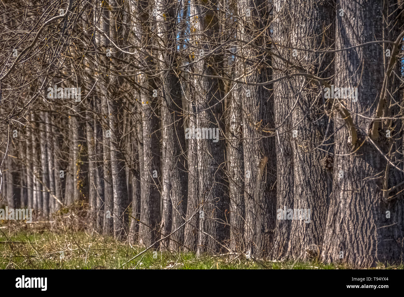 Mystic places in portugal hi-res stock photography and images - Alamy