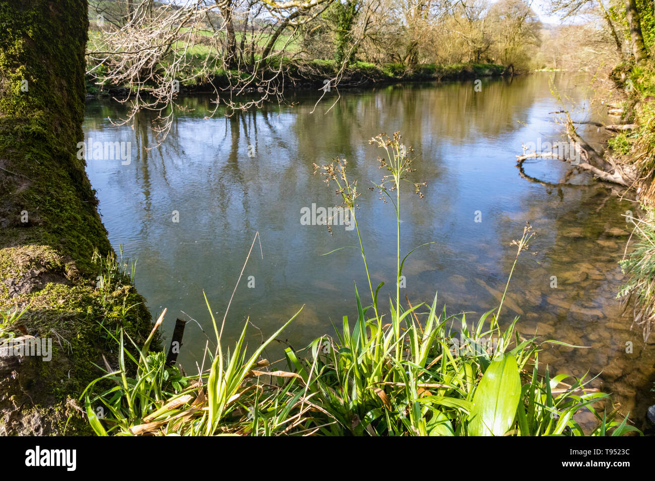 North devon river pollution hi-res stock photography and images - Alamy