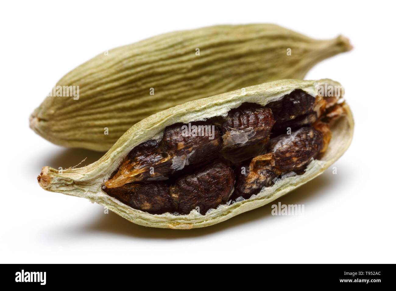 Cardamom pods and seeds isolated on white background Stock Photo - Alamy