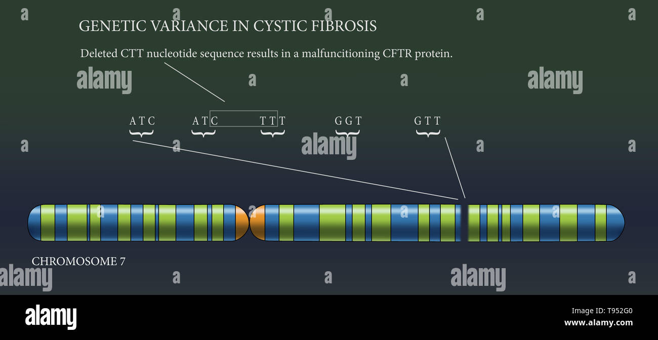 Chromosome 7 hi-res stock photography and images - Alamy