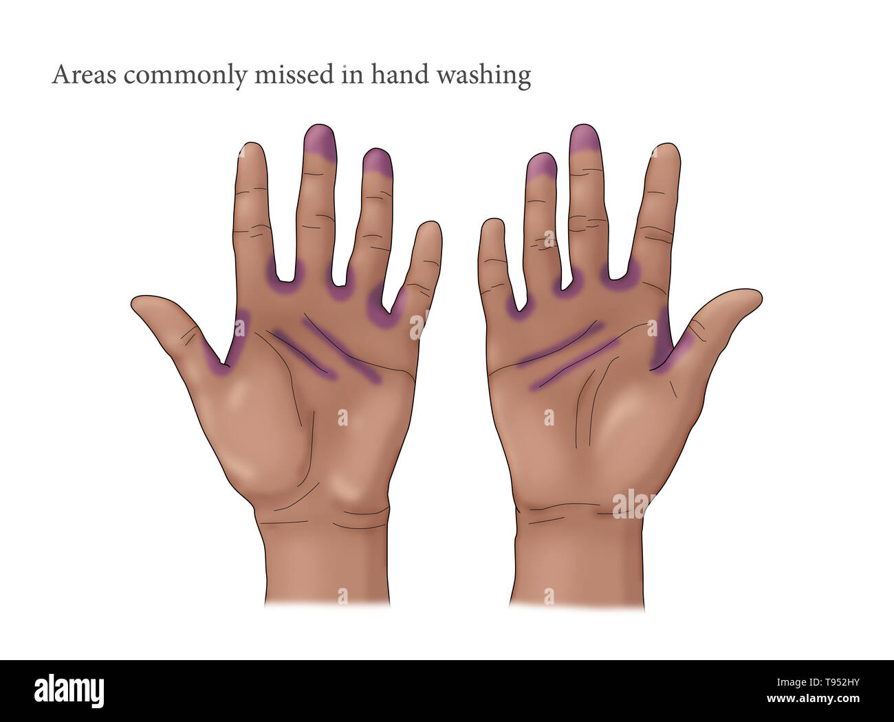 Handwashing illustration hi-res stock photography and images - Alamy Handwashing illustration hi-res stock photography and images - Alamy