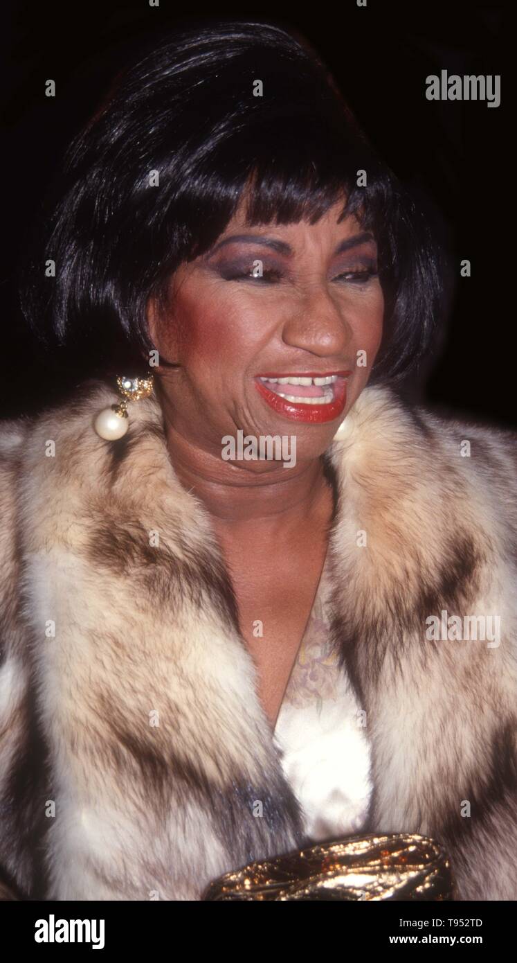 Celia Cruz 1992 Photo By John Barrett/PHOTOlink.net Stock Photo - Alamy