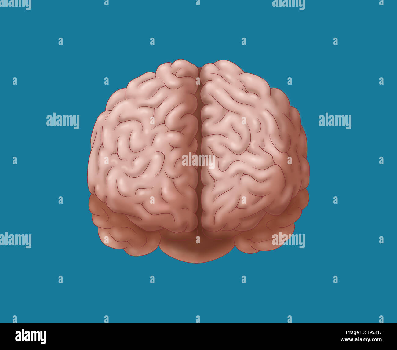 Frontal of hi-res stock photography and images - Alamy