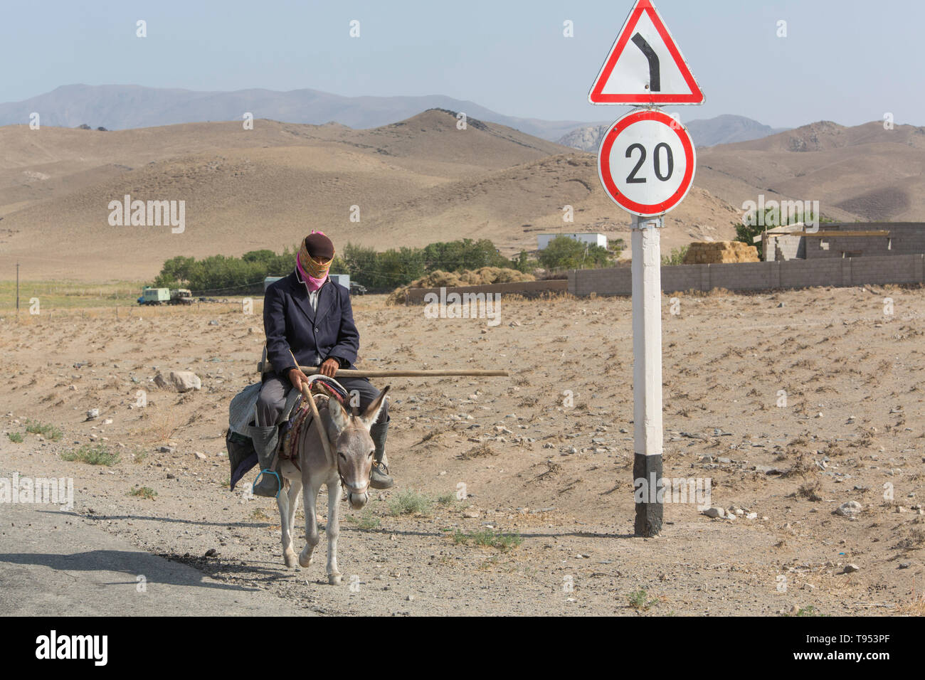 Goat herd silk road hi-res stock photography and images - Alamy