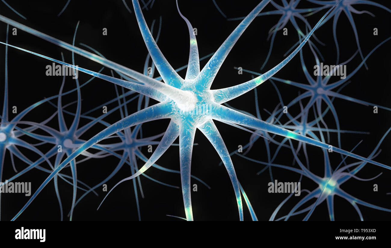 Neuron nerve cells diagram hi-res stock photography and images - Alamy