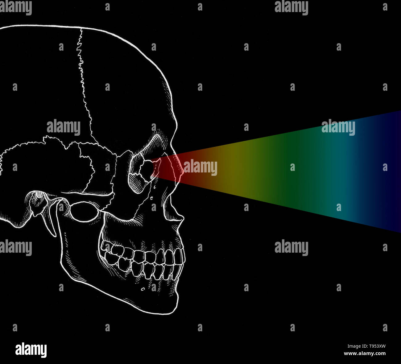 Visible light spectrum hi-res stock photography and images - Alamy