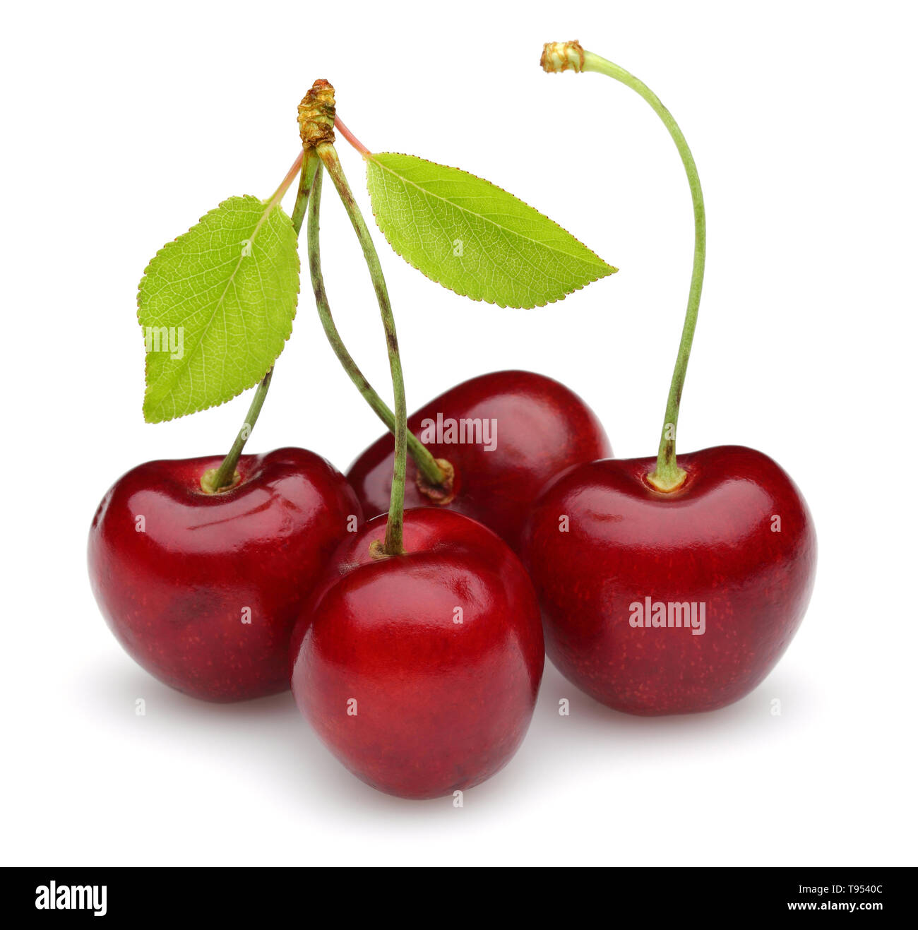Shiny red cherries hi-res stock photography and images - Alamy