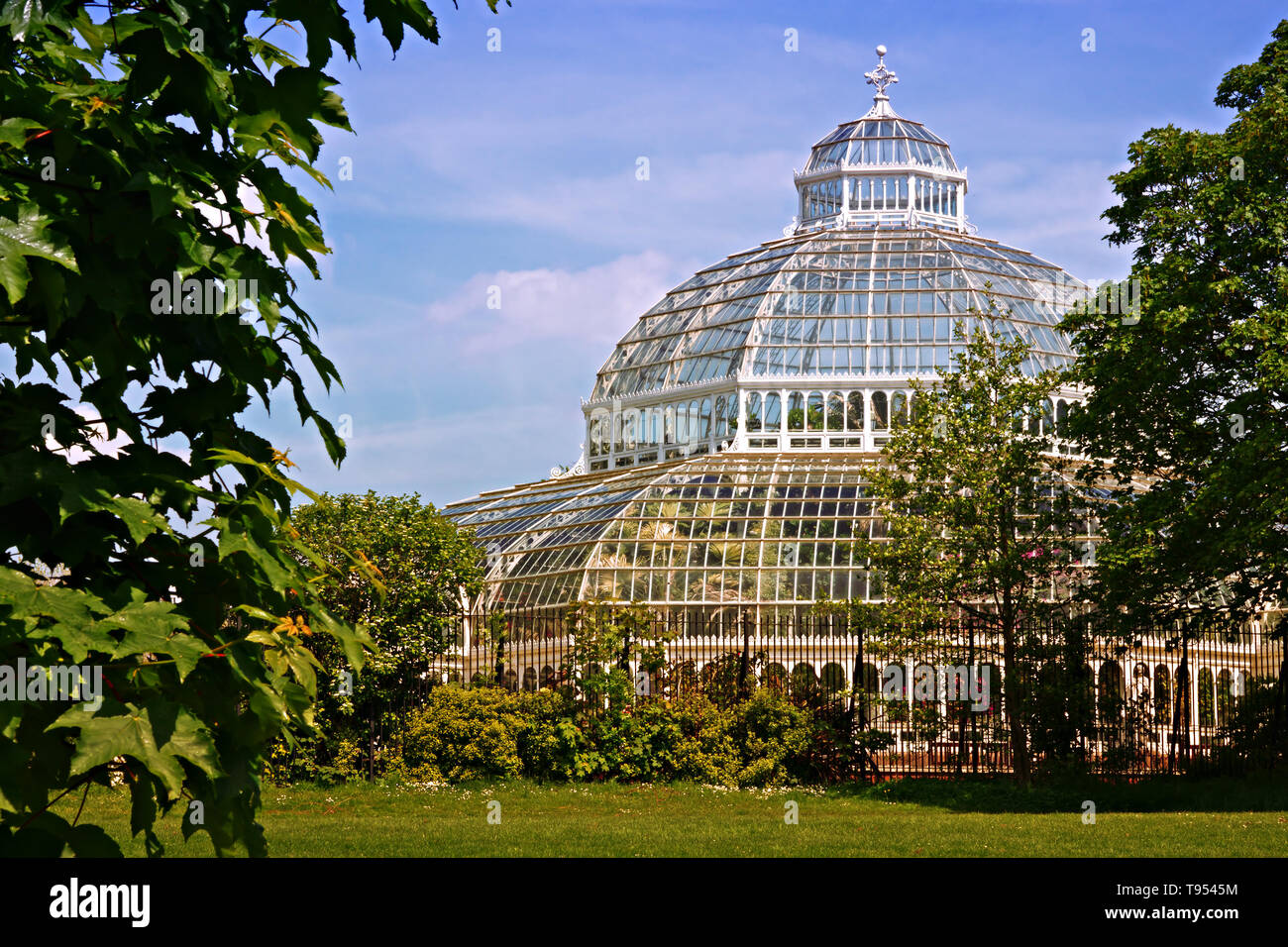 Sefton Park Palm house in Liverpool UK Stock Photo - Alamy