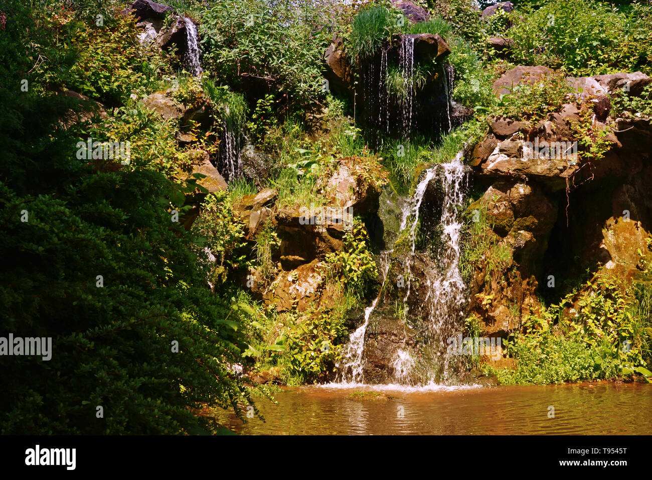 Sefton Park Uk High Resolution Stock Photography and Images - Alamy