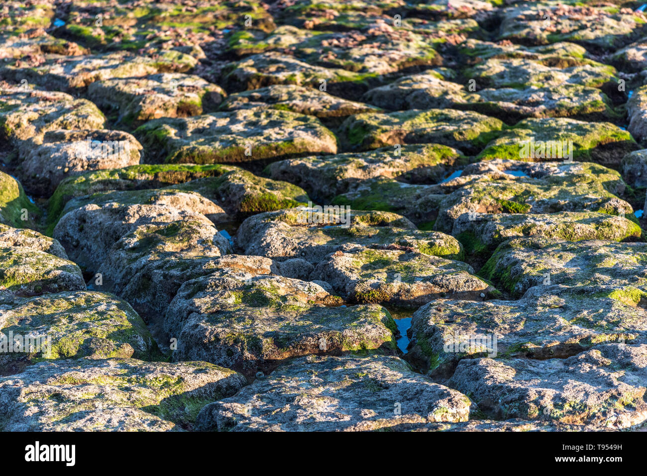 Surface water erosion field hi-res stock photography and images - Alamy
