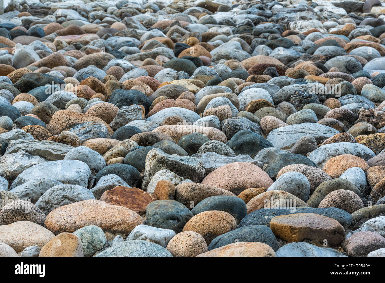 Different types of stones and pebbles of similar size arranged on flat ...