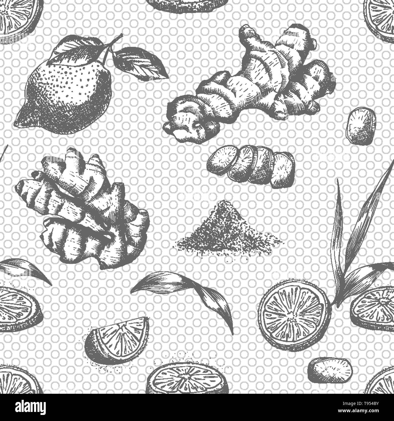 Ginger root drawing Black and White Stock Photos & Images - Alamy