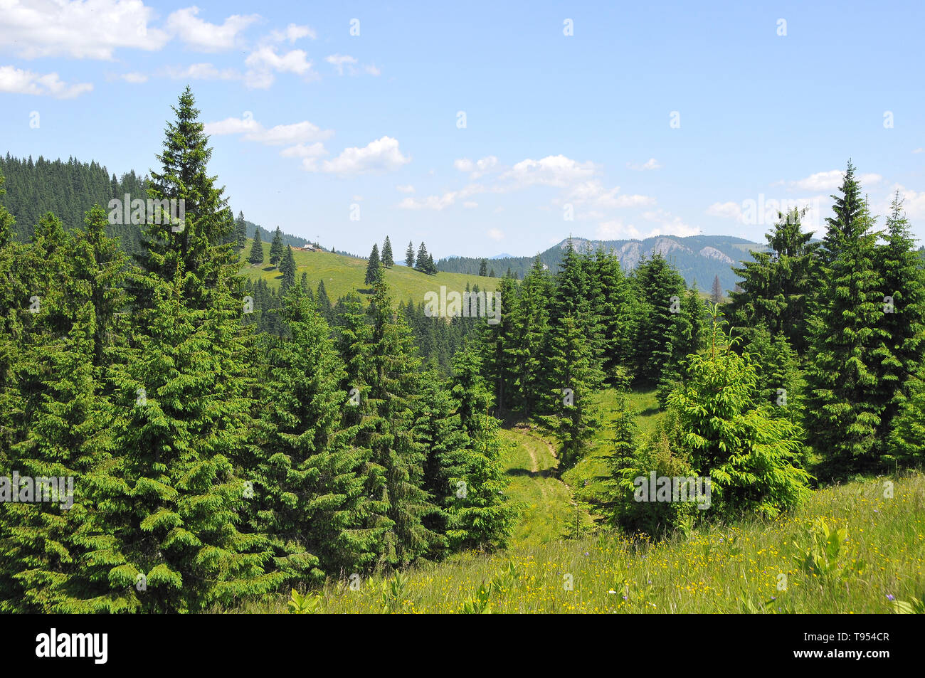 Landscape in Transylvania, Romania, Europe Stock Photo - Alamy