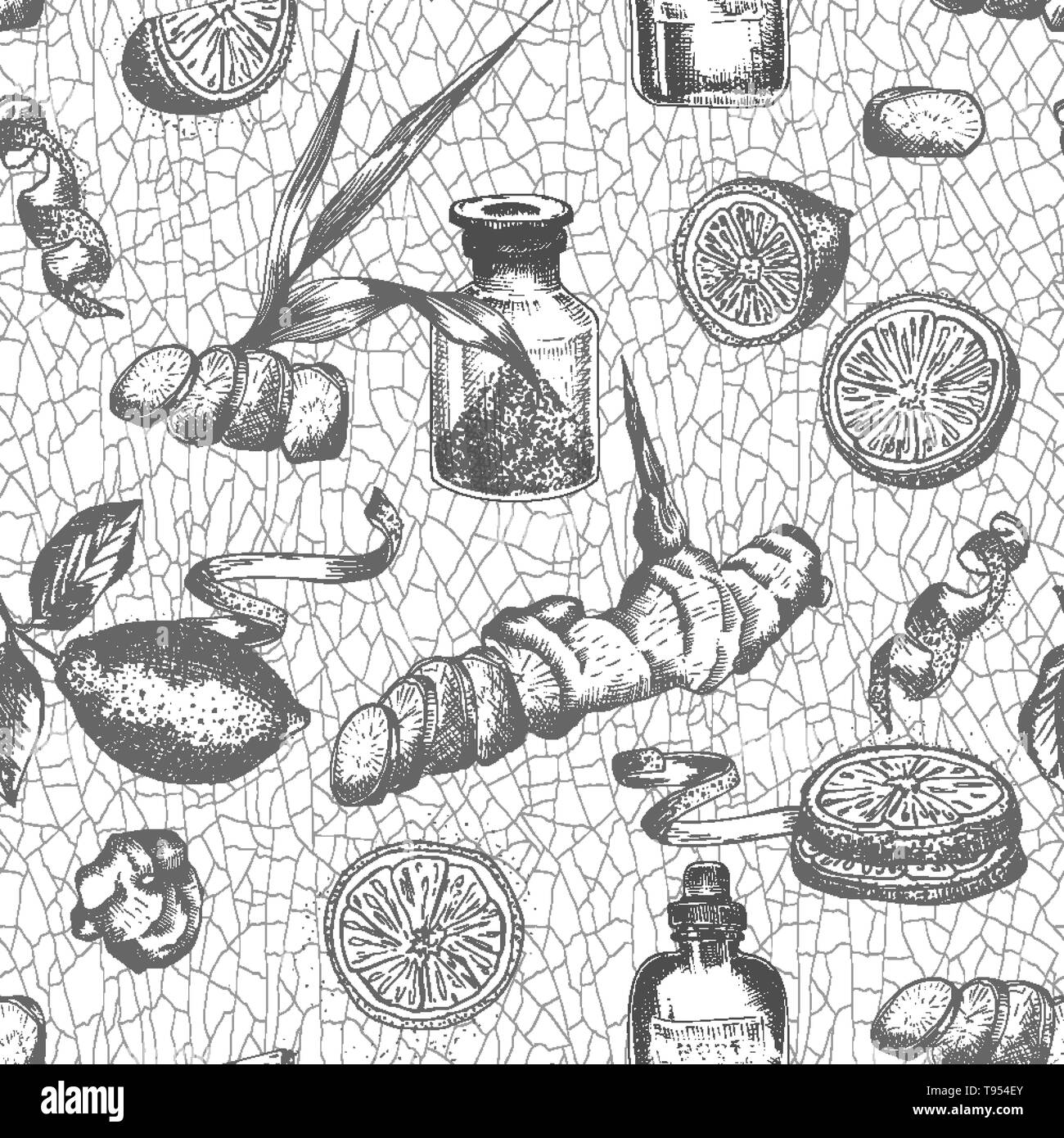 Seamless pattern hand drawn of Ginger roots, lemon, lives and flowers ...