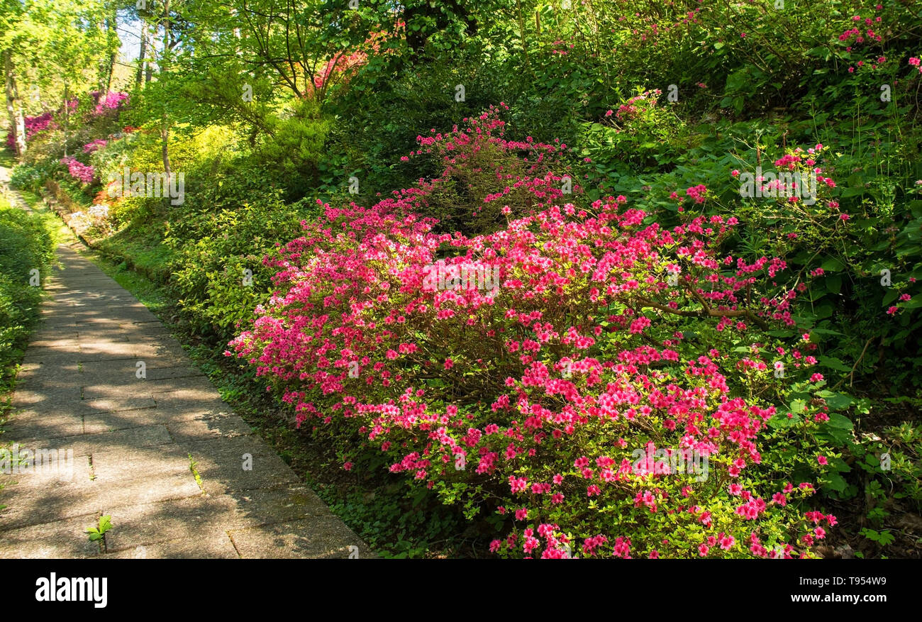 A park in the north eastern Friuli Venezia Giulia region of Italy in ...