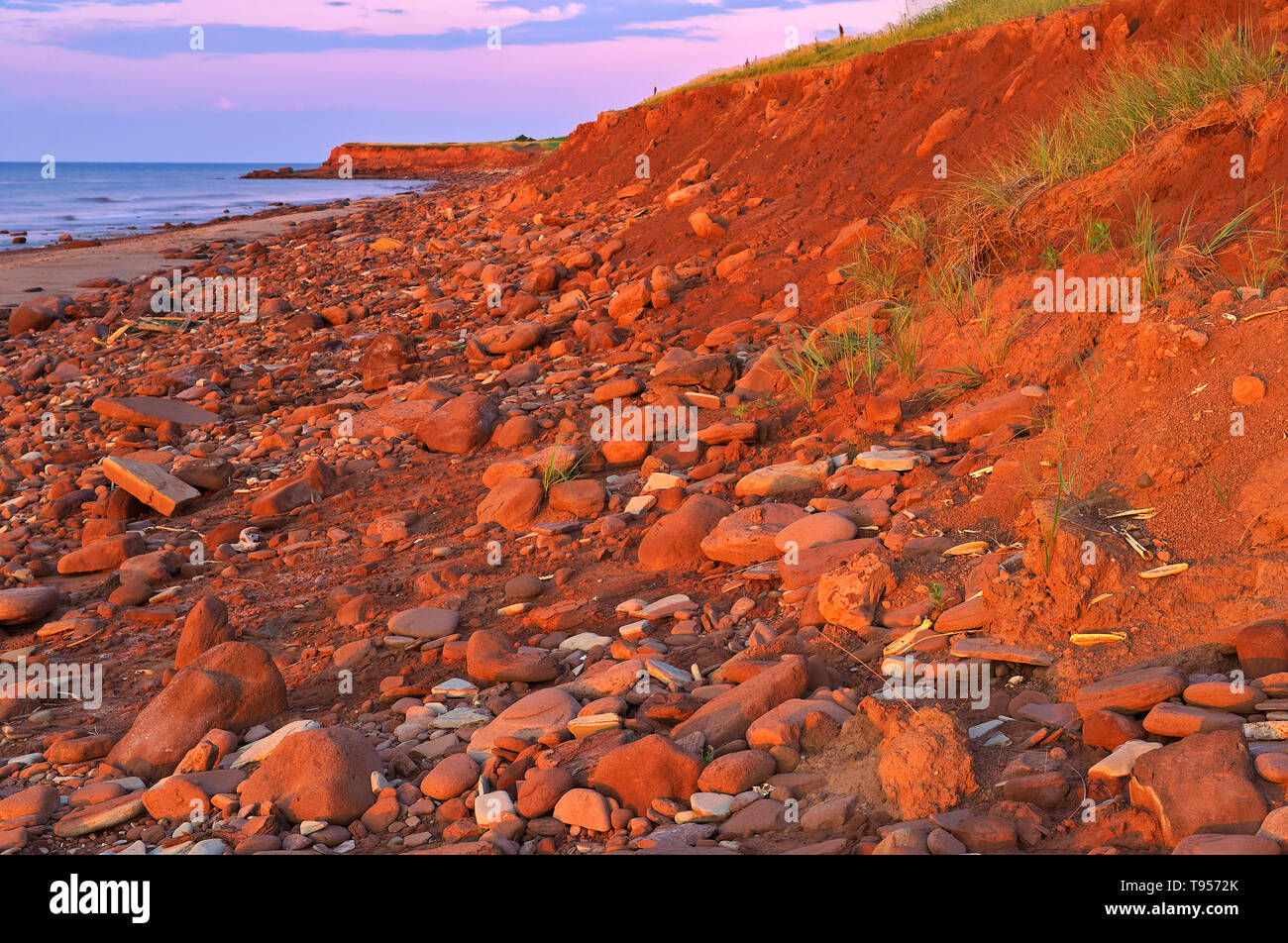 sandy shoreline along the Gulf of St. Lawrence Cable Head Prince Edward ...