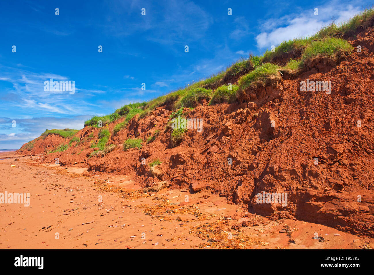 Red sand and bluffs along the Northumberland Strait Campbelton Prince ...