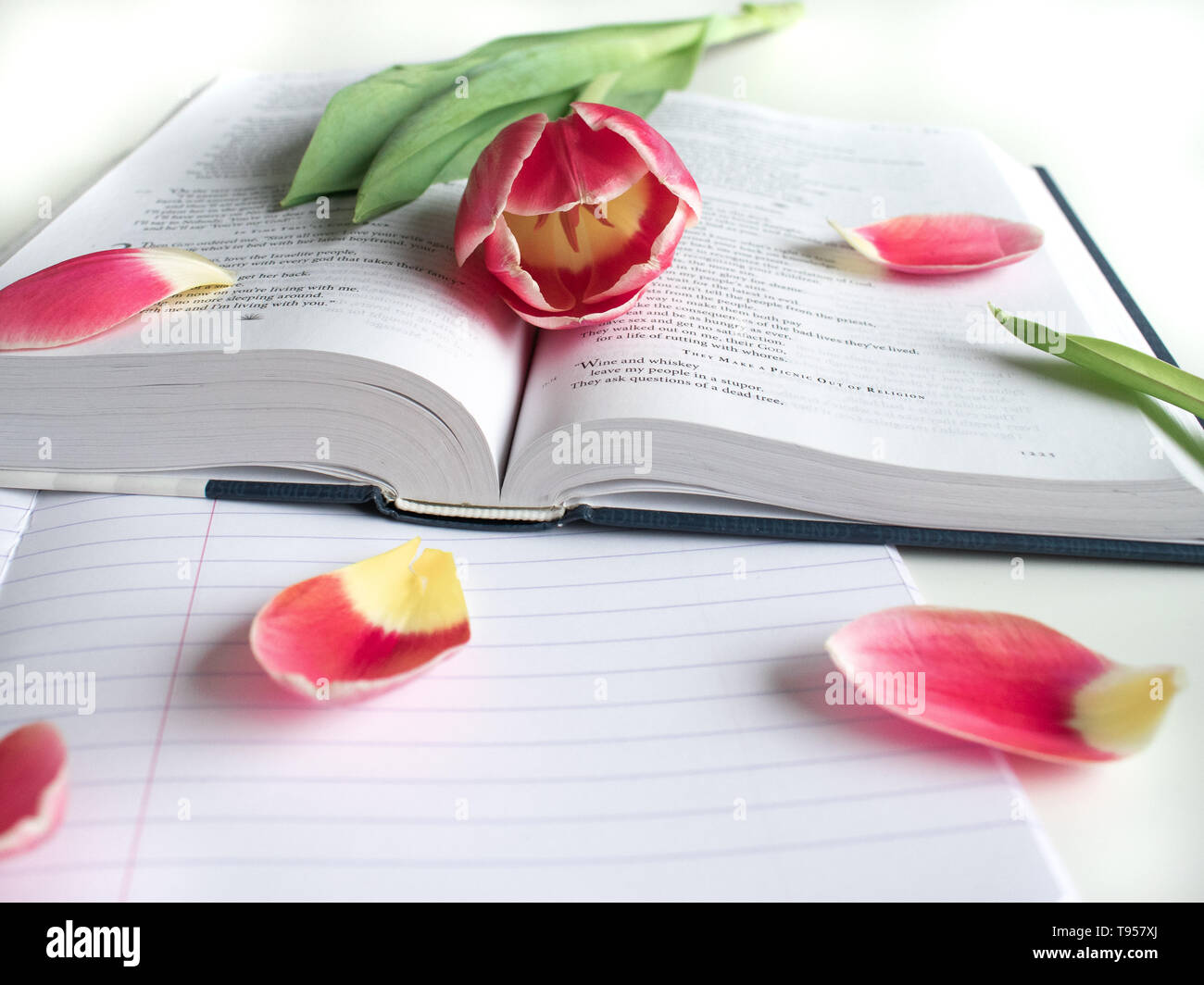 Flat lay bible hi-res stock photography and images - Alamy
