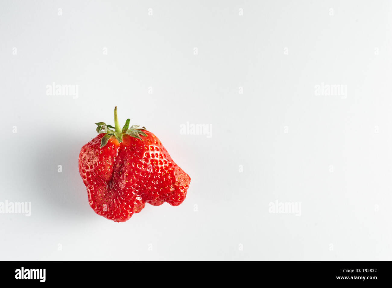 Ugly strawberry isolated at white background. Strange strawberry looks ...