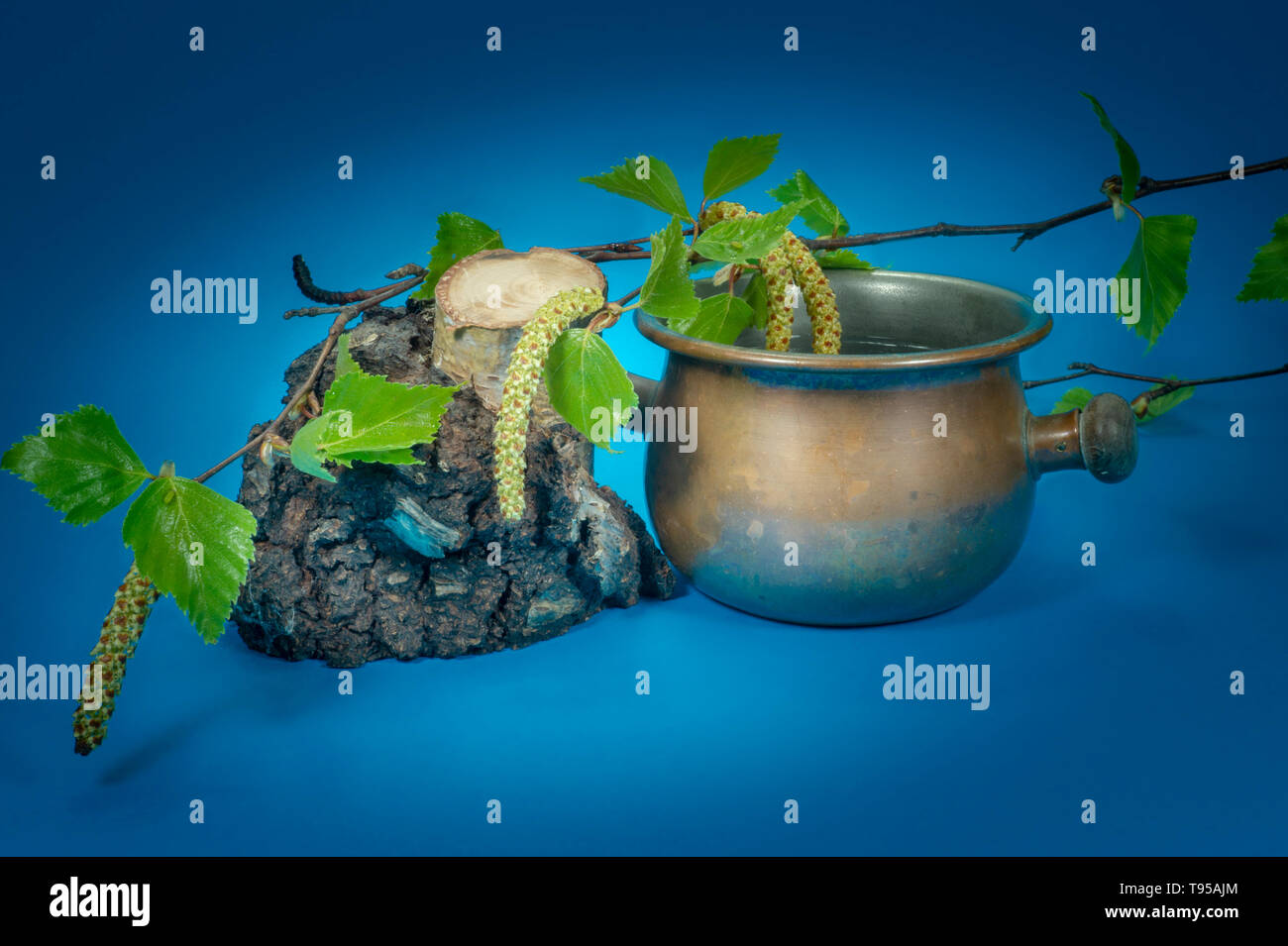 Wood branch chunk hi-res stock photography and images - Alamy