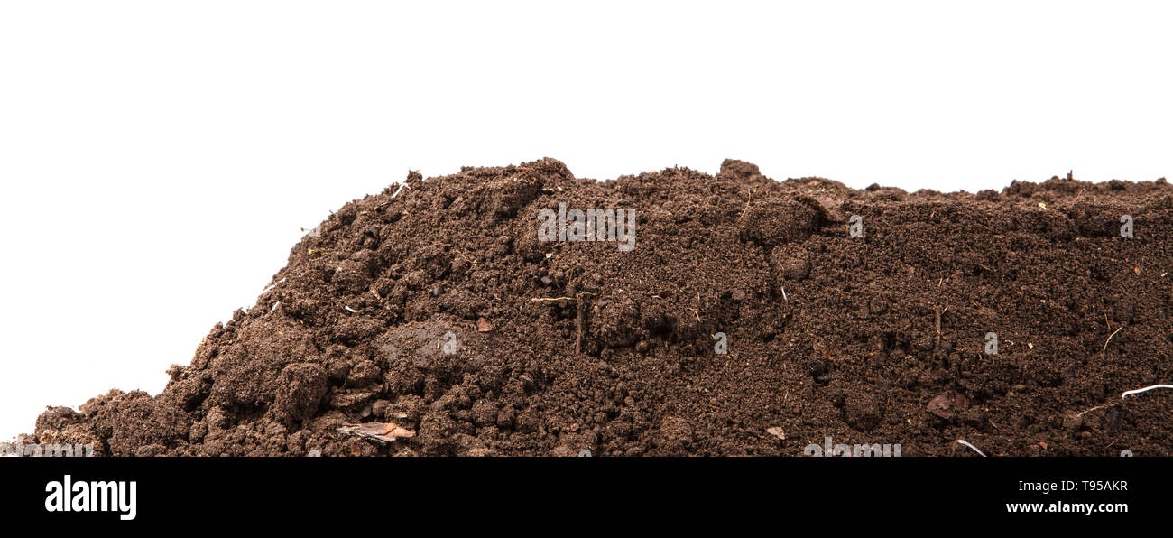 Brown Soil