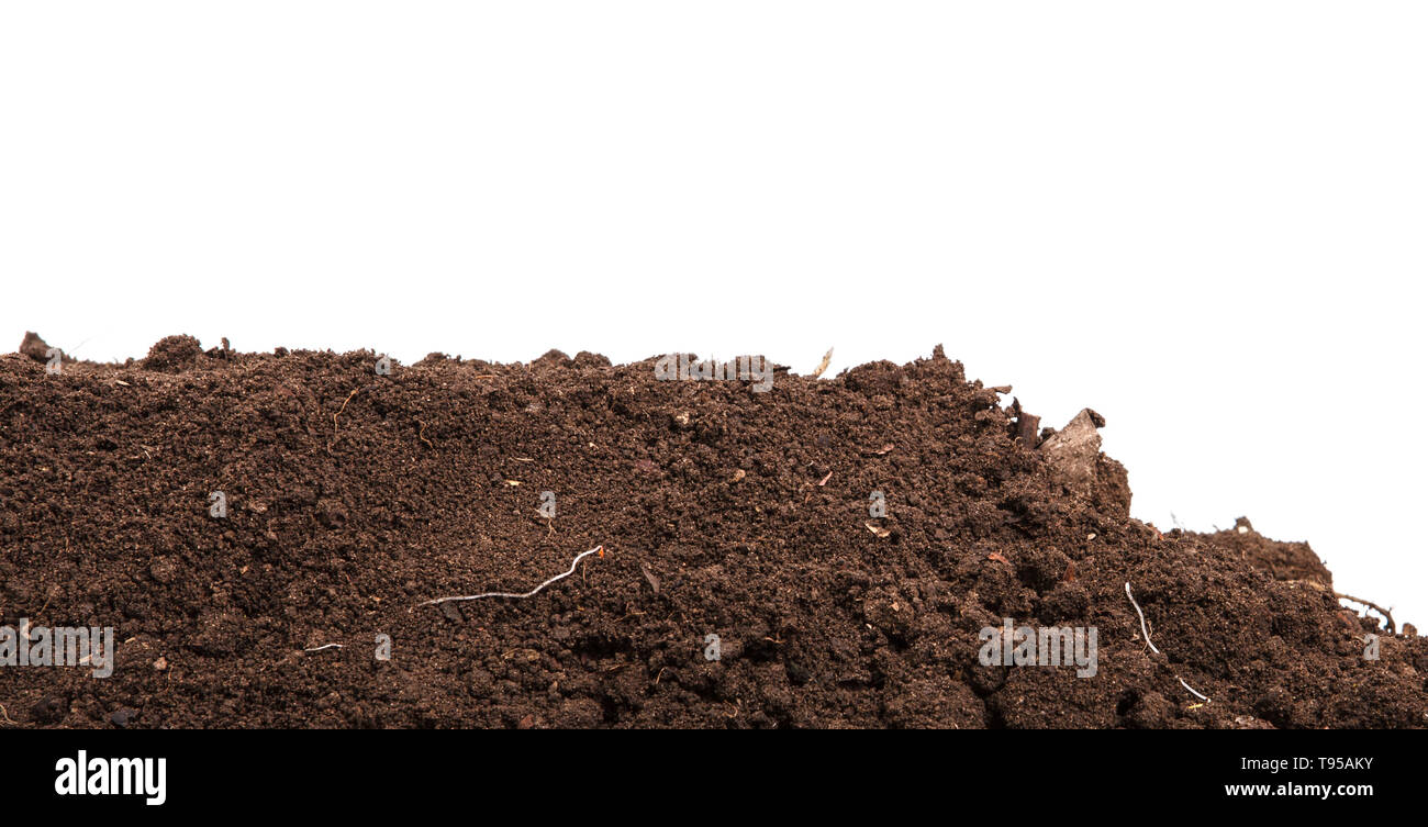 Handful of dark brown soil isolated on white Stock Photo - Alamy