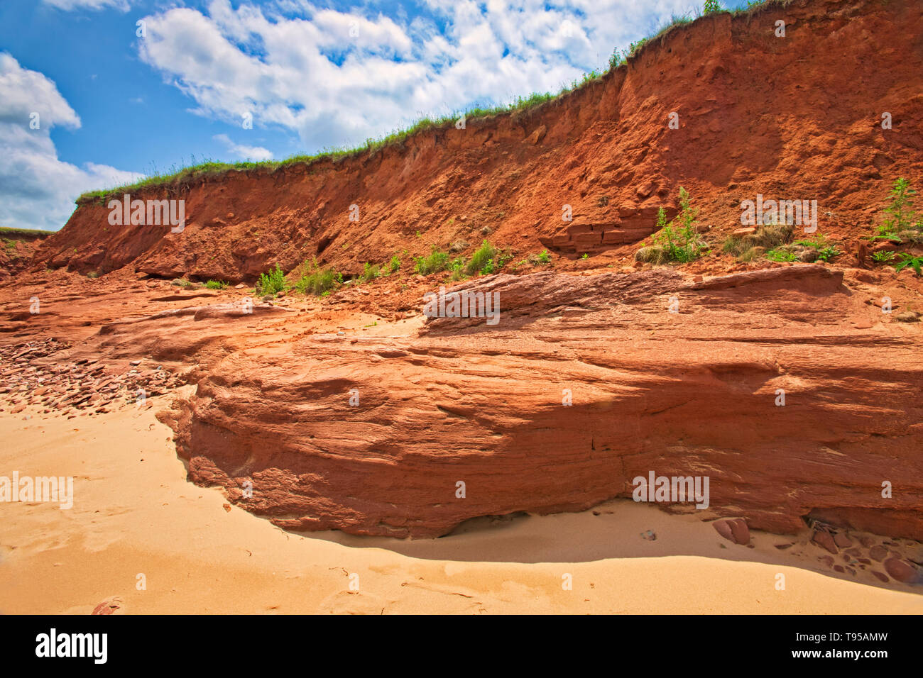 Red sandstone cliffs along the Gulf of St. Lawrence. Park Corner Prince ...