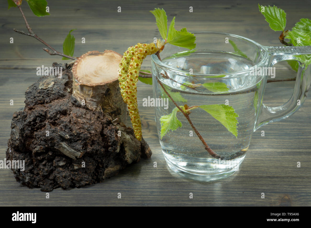 Birch tree twig with leaves and buds placed in transparent mug with ...