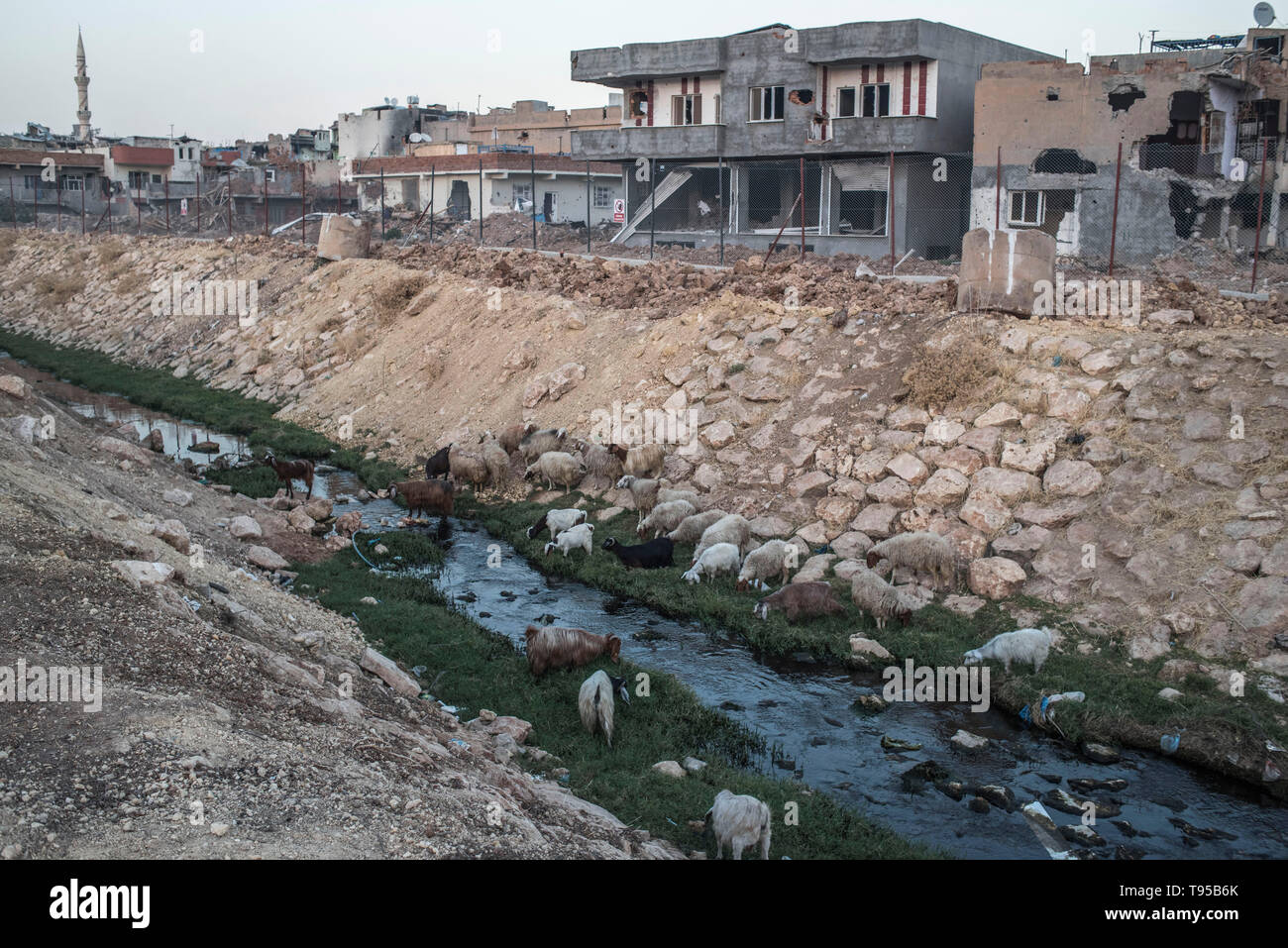 Nusaybin High Resolution Stock Photography and Images - Alamy