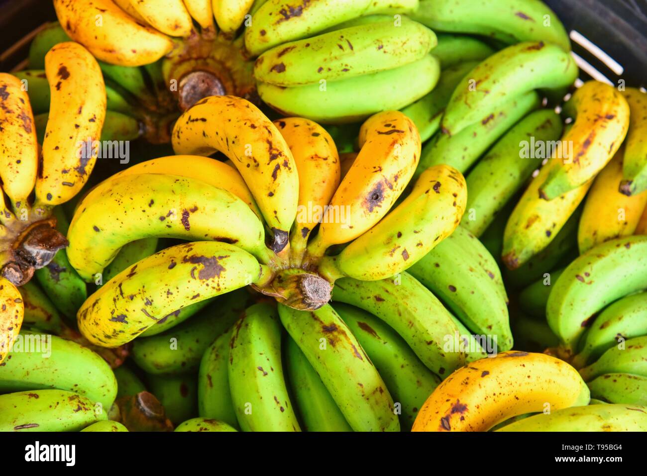 Group of Raw Bananas Stock Photo - Alamy