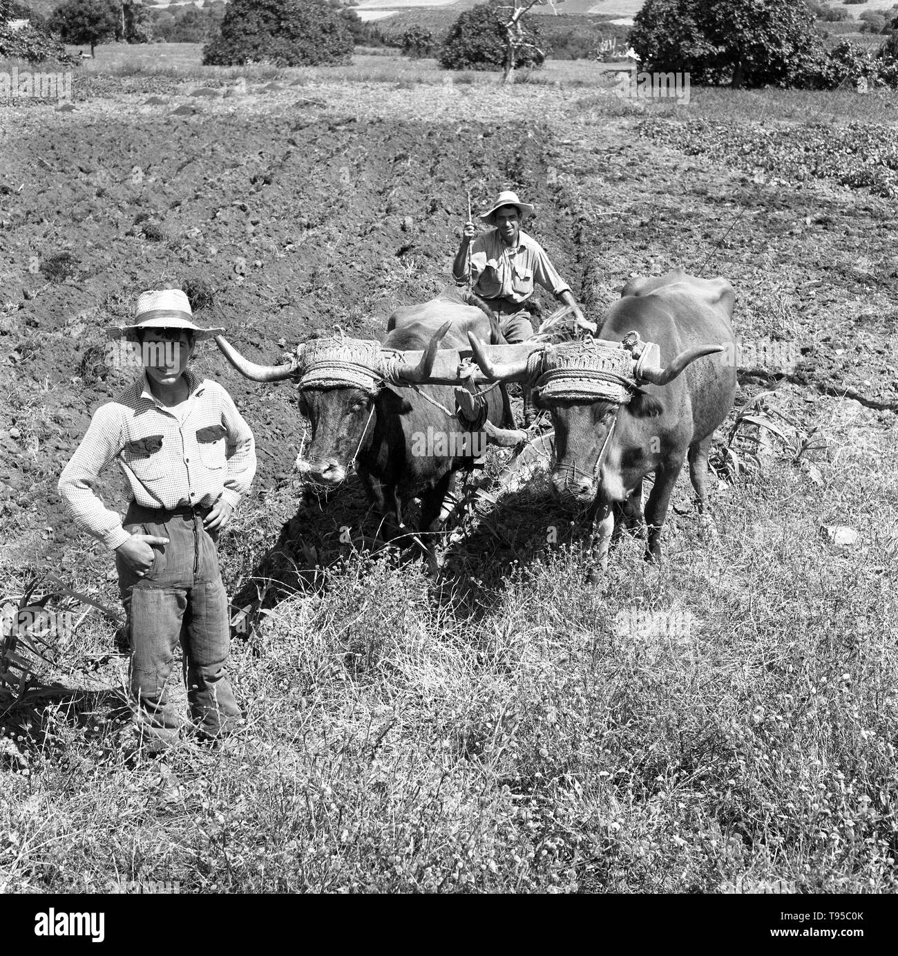 Andalusia and countryside Black and White Stock Photos & Images - Alamy