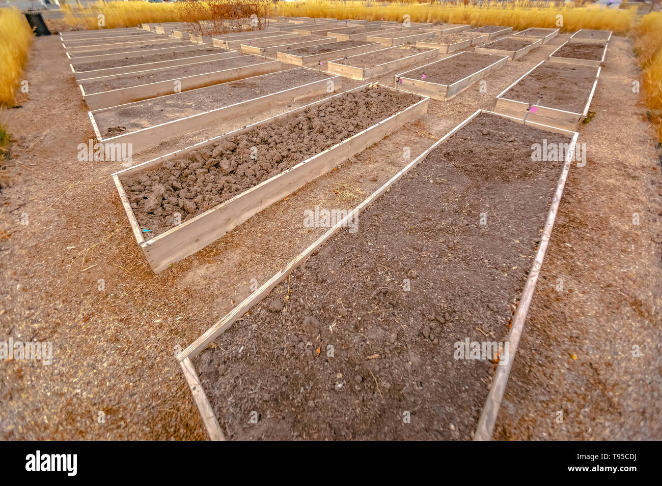 Rows of raised garden beds hi-res stock photography and images - Alamy
