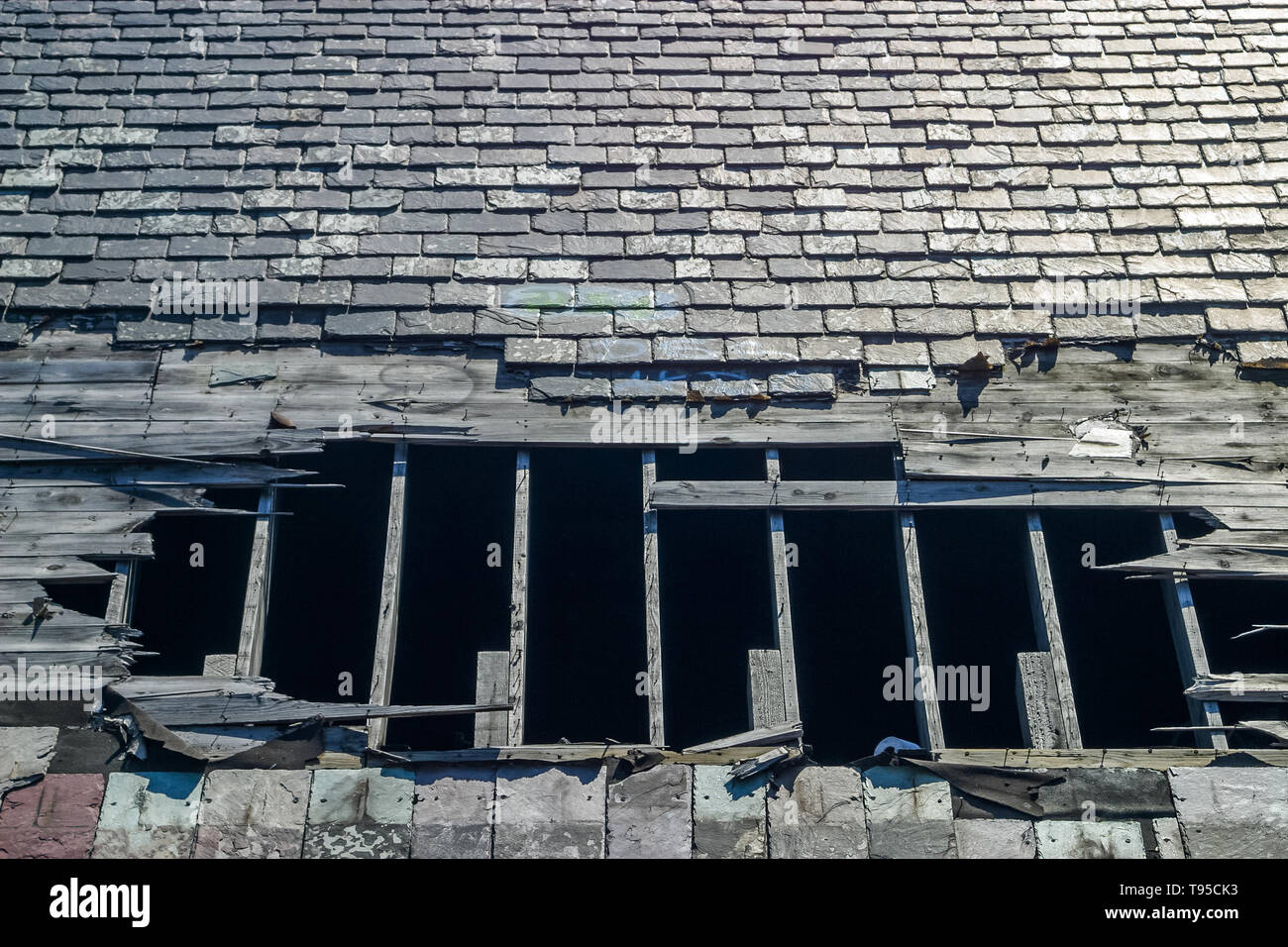 Cook county forest preserve hi-res stock photography and images - Alamy