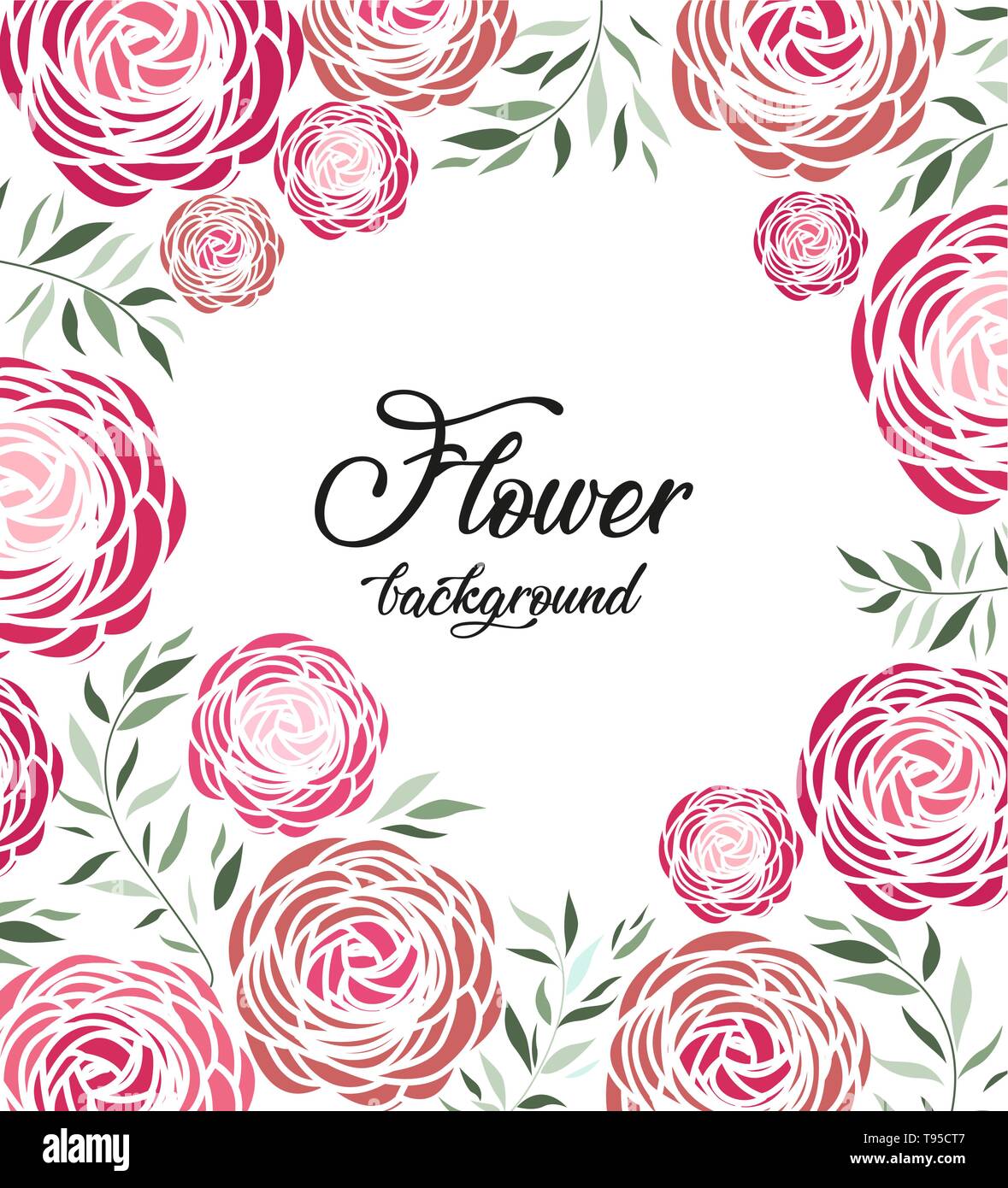 Vector ranunculus flower Stock Vector Image & Art - Alamy