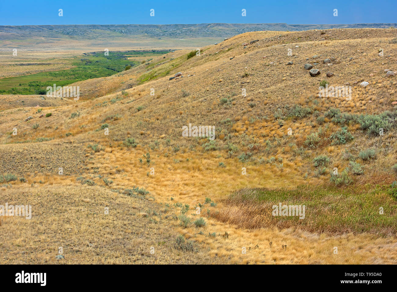 Native mixed grass prairie hi-res stock photography and images - Alamy