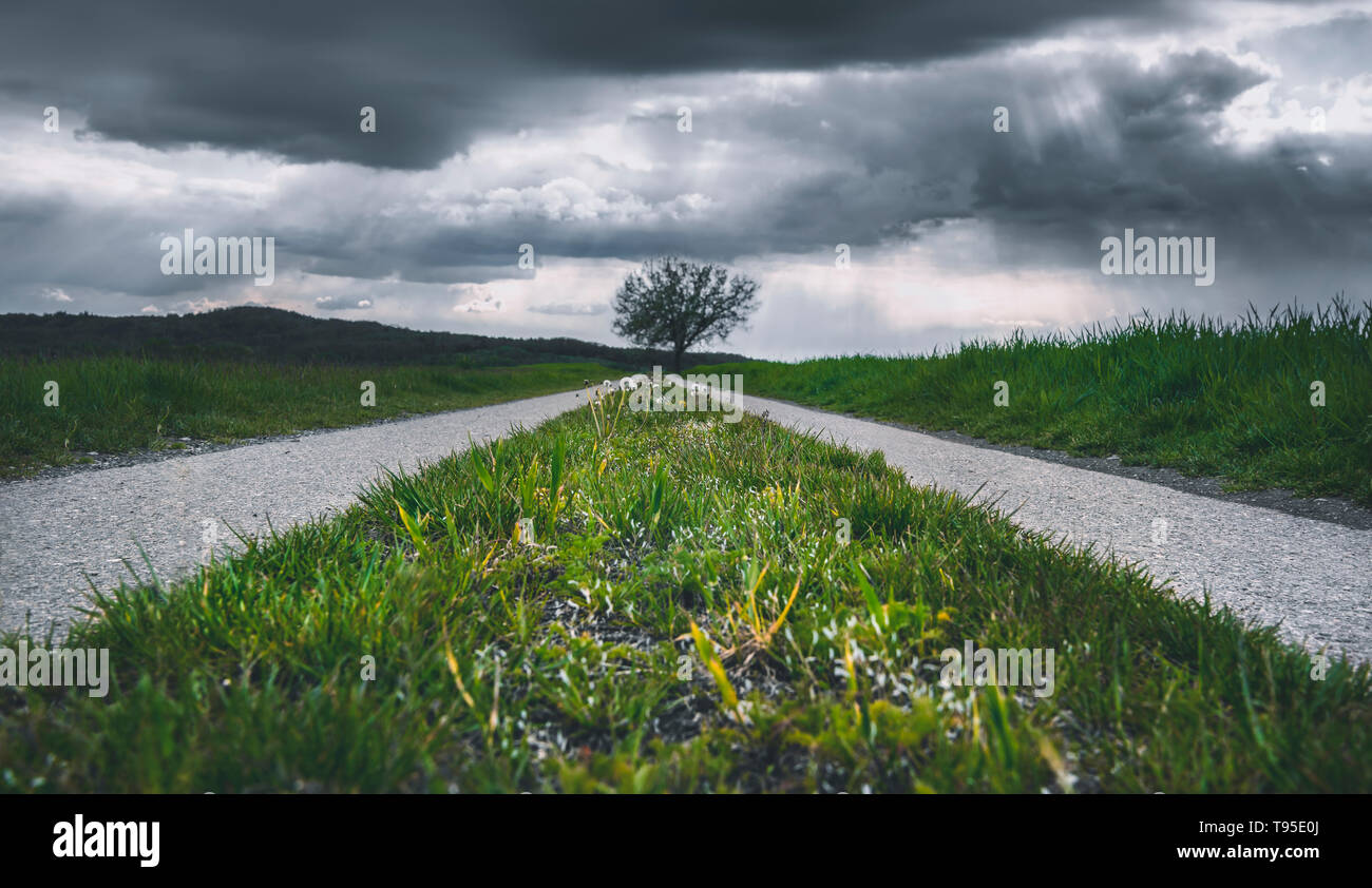 Pathway with green grass through an agricultural field, leading toward ...