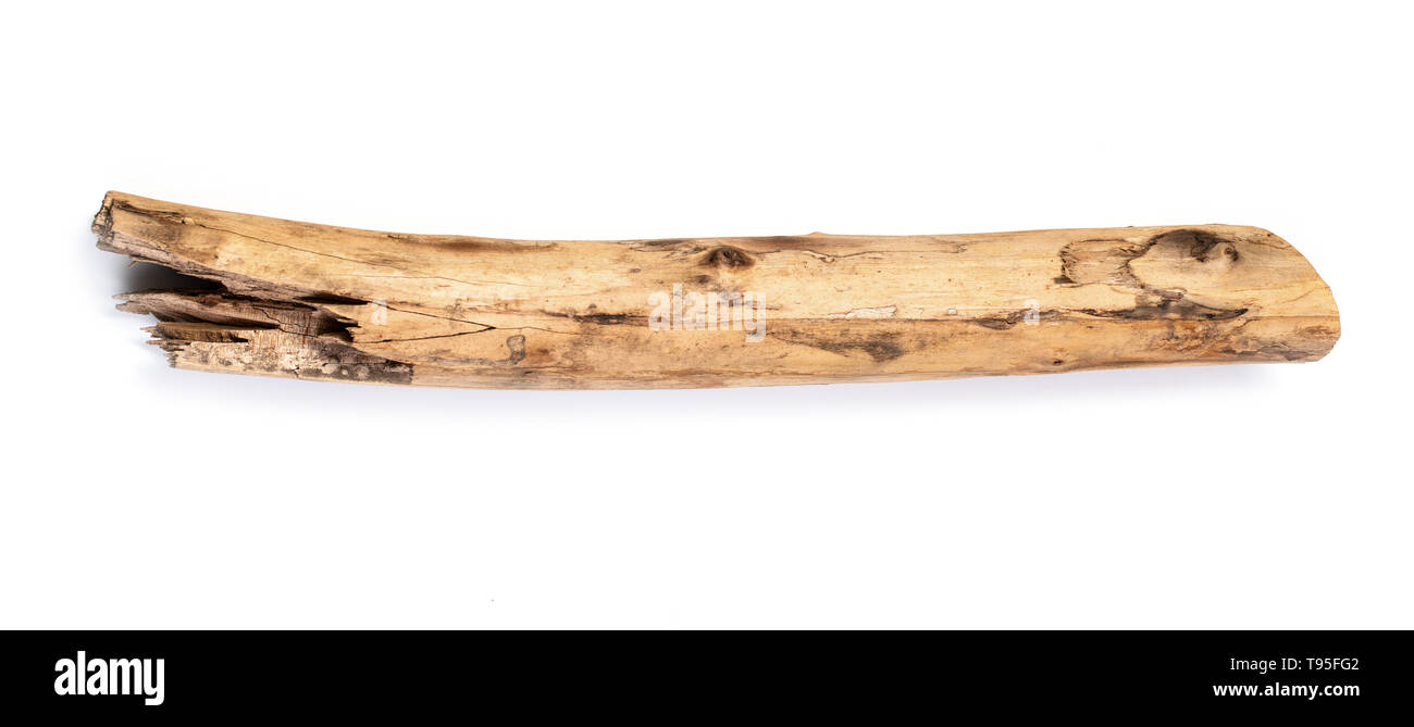 Broken tree stick hi-res stock photography and images - Alamy
