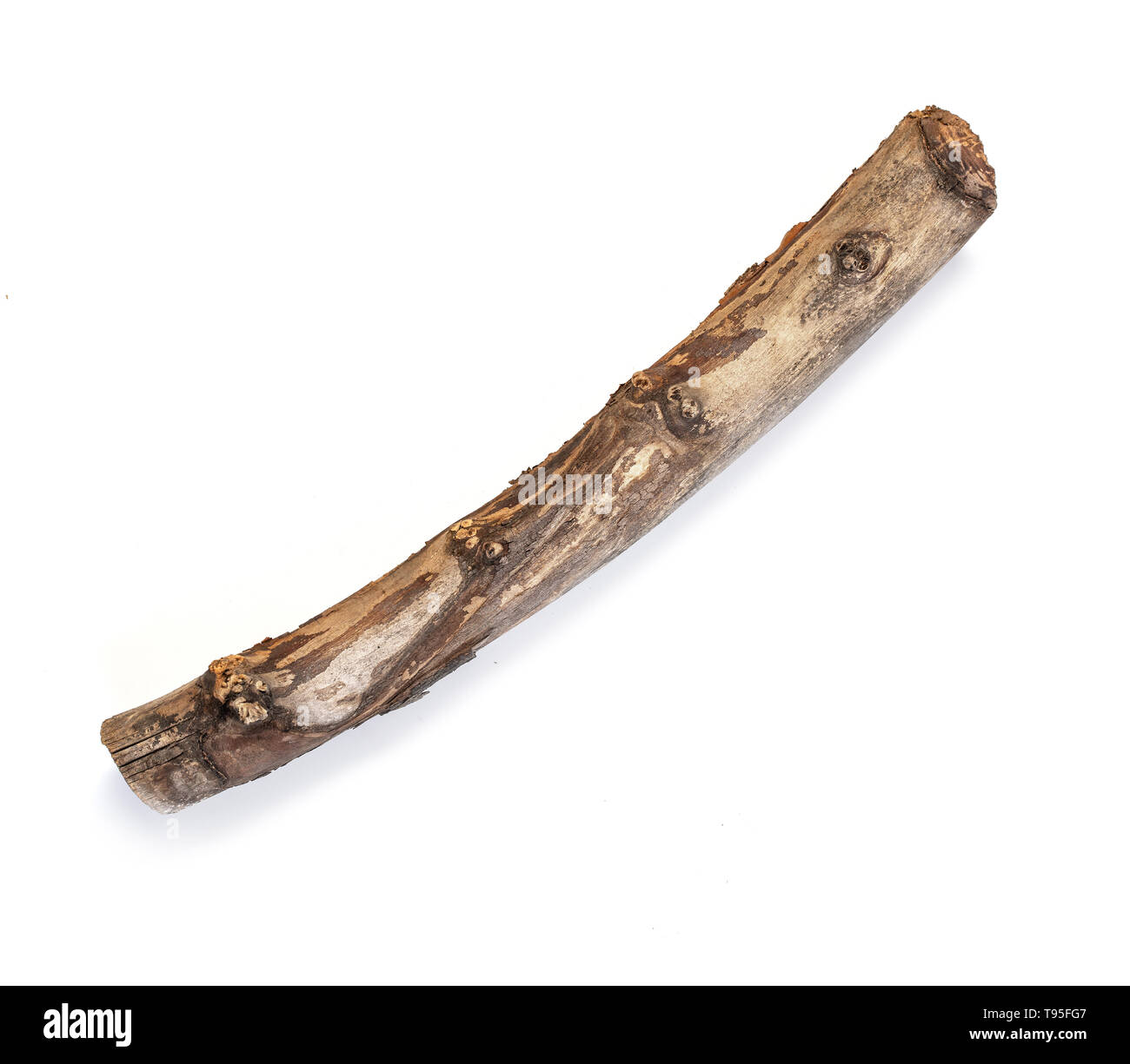 Broken tree stick hi-res stock photography and images - Alamy