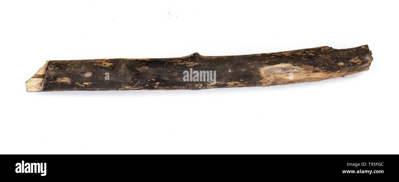 Tree stick isolated on white background Stock Photo - Alamy