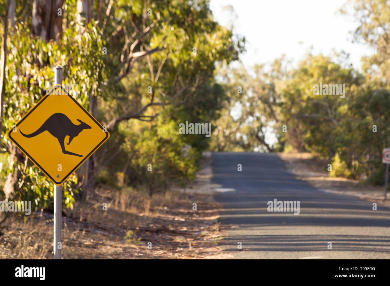 kangaroo signal on the rural road, Perth, Australia Stock Photo - Alamy