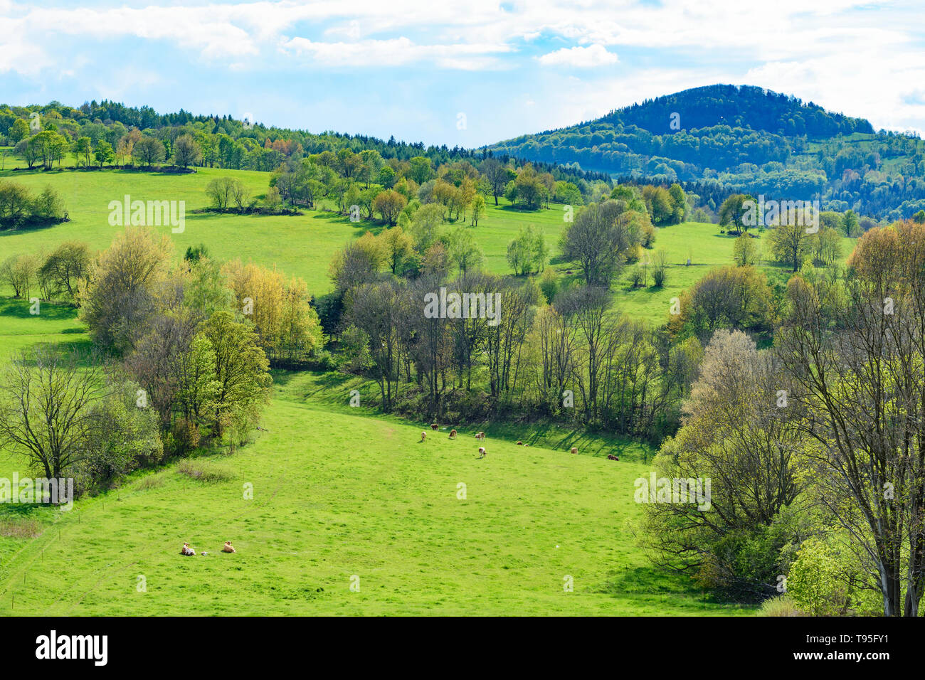 Geising mountain hi-res stock photography and images - Alamy