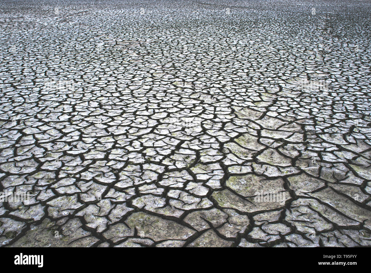 Cracked earth in the figurative cracks. The concept of scarcity of ...