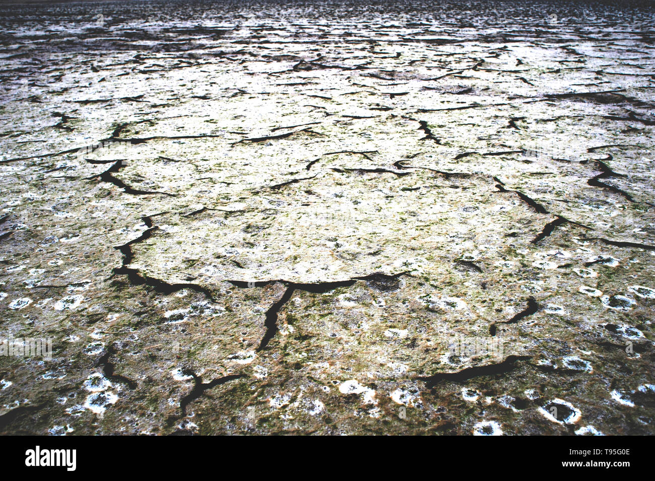 Cracked earth in the figurative cracks. The concept of scarcity of ...